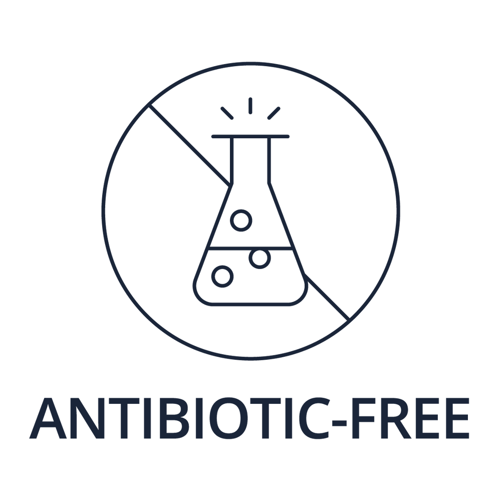 Lactoferrin for Herpes Support | Natural Immune & Antiviral Defense ...