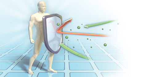 Research | Lactoferrin: Benefits, Effects, Dosage – Lactoferrin Co.