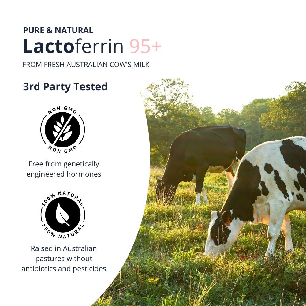 Best Lactoferrin Powder Capsule Supplier and Manufacturer – Lactoferrin Co.